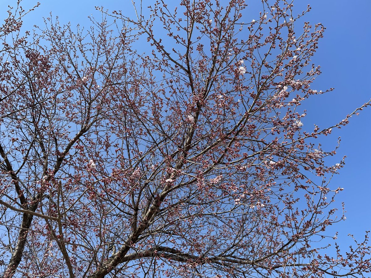 テンモ(@tenmo_990) - Twilog