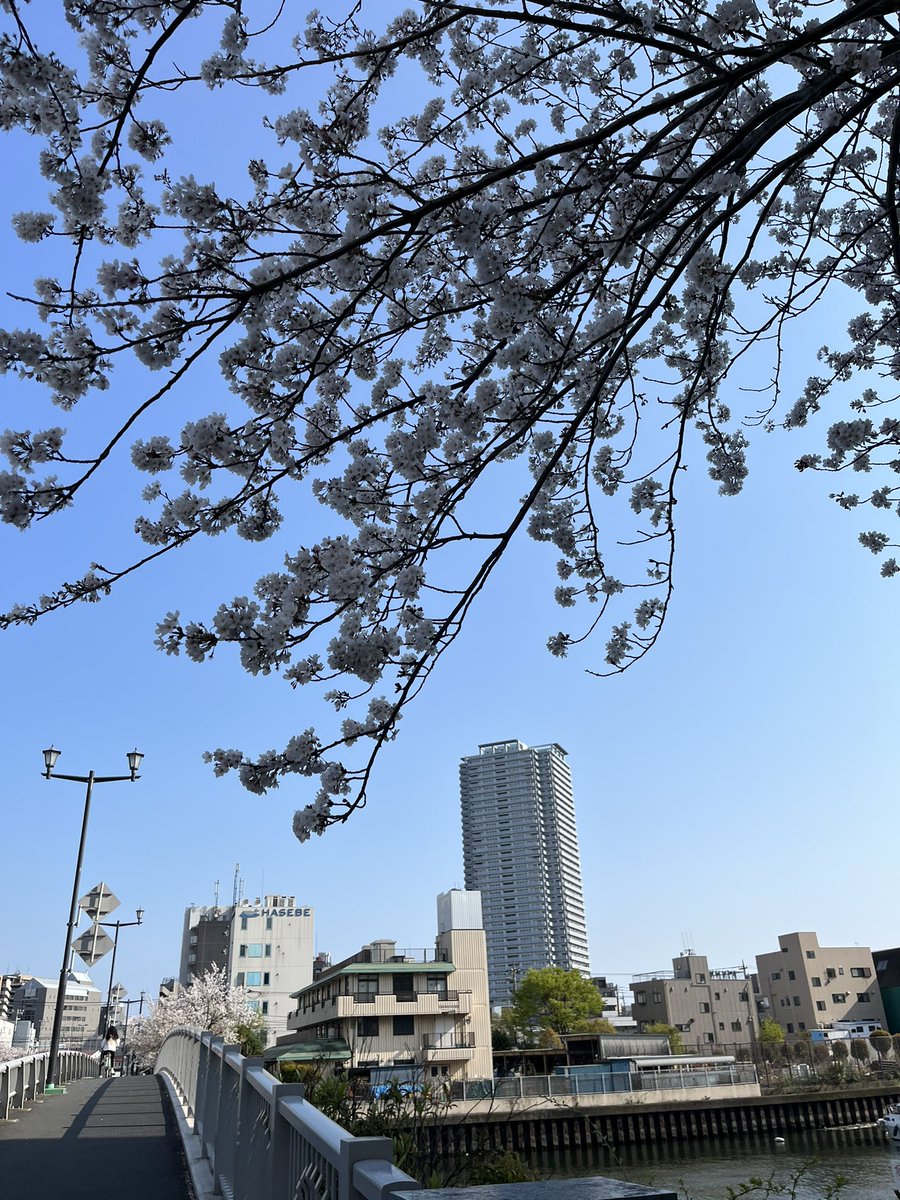 ぽやを(@Po_yao) - Twilog