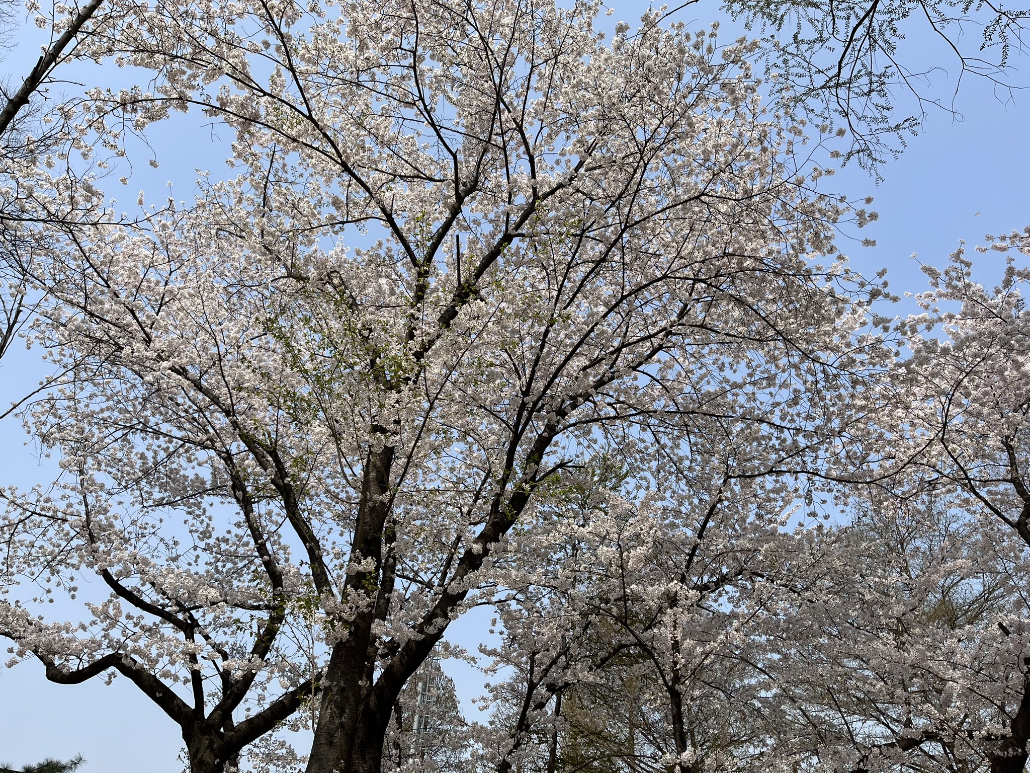 나롱이🐿️ (@Narong_245) / Twitter