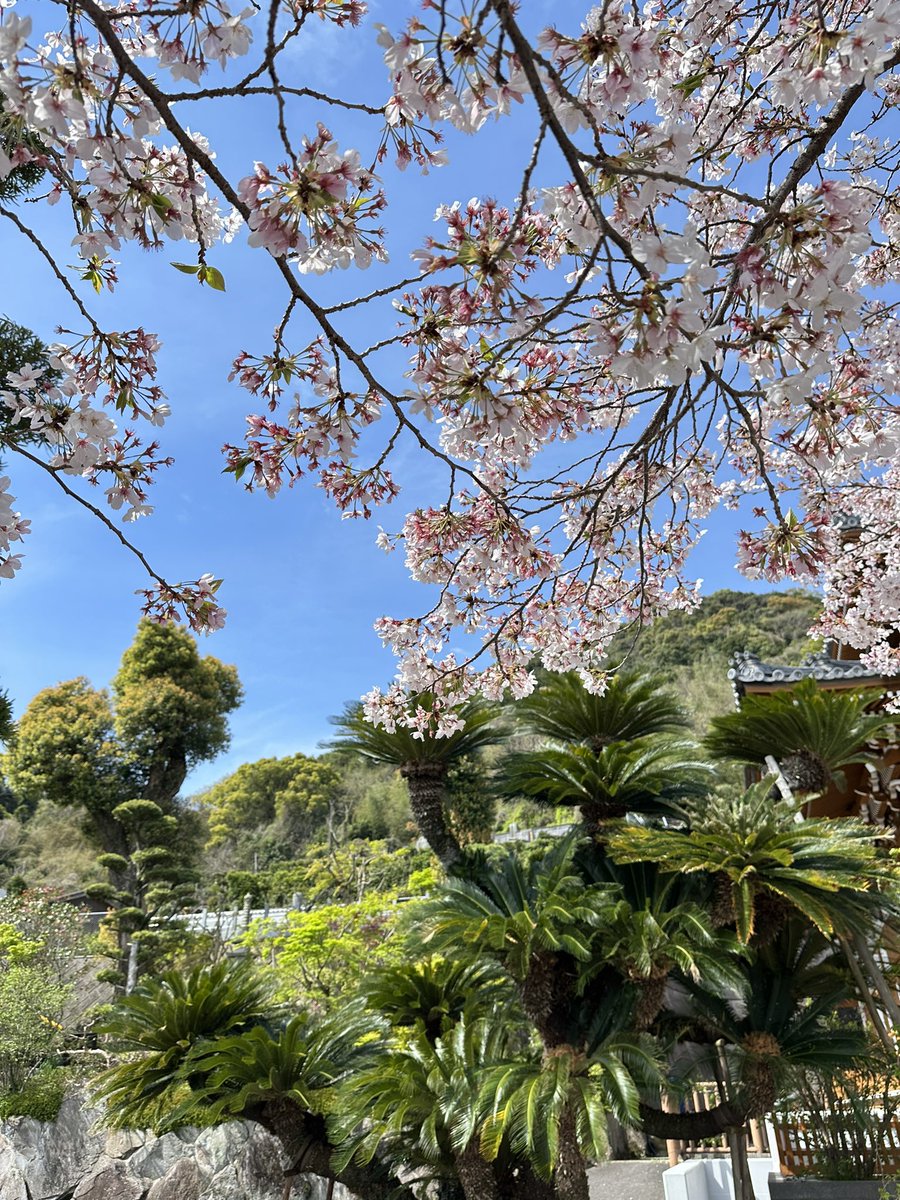 ko(@ko_viv) - Twilog