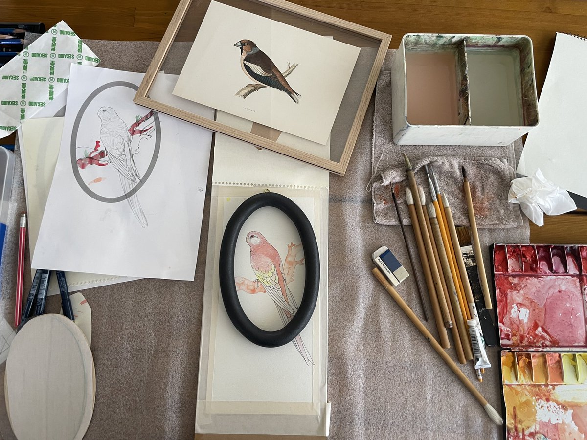 macca(@macca_aka) - Twilog (ツイログ)