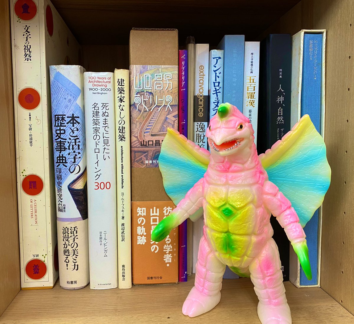 幻想系古本屋 古書ドリス On Twitter 4月1日土曜日オープンしました。19時まで営業します。 おもしろい古本、たくさん品出ししてドラコもお待ちしております。