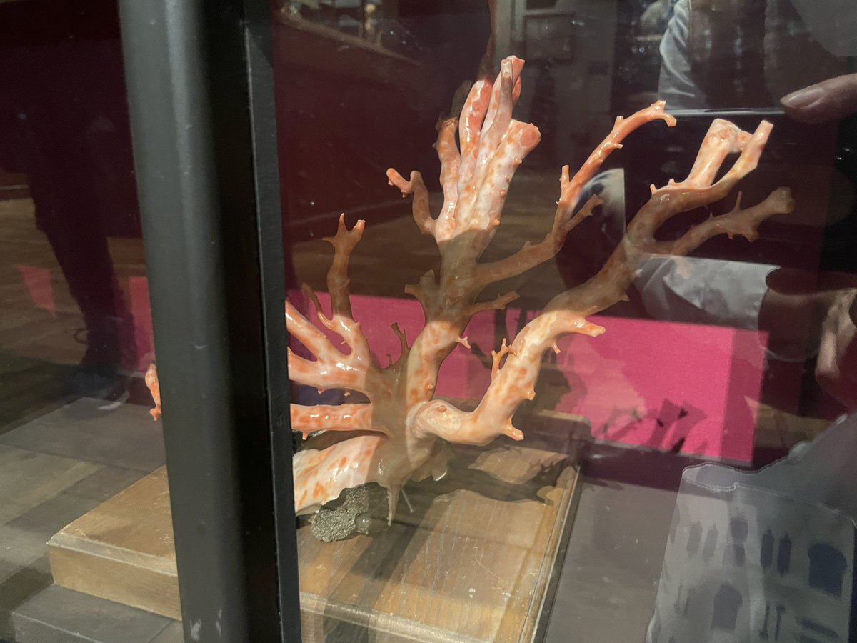 macca(@macca_aka) - Twilog (ツイログ)