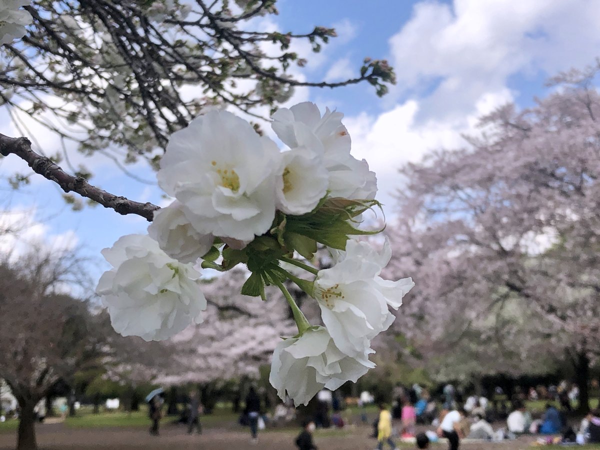 METEOR(@meteor_club) - Twilog (ツイログ)