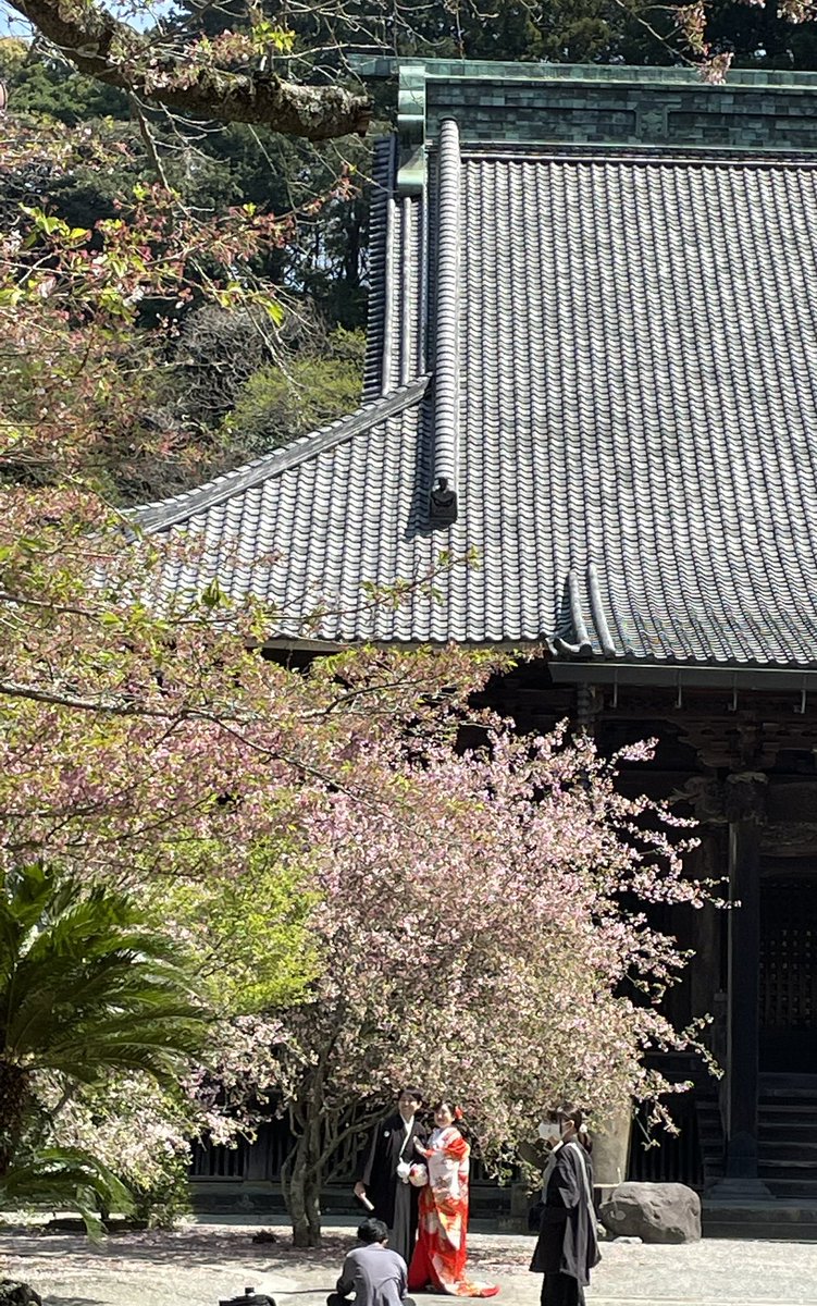 嶋聡(@satoshi_shima) - Twilog (ツイログ)