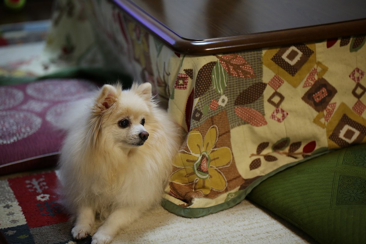 ふんすい(@fun_sui) - Twilog (ツイログ)