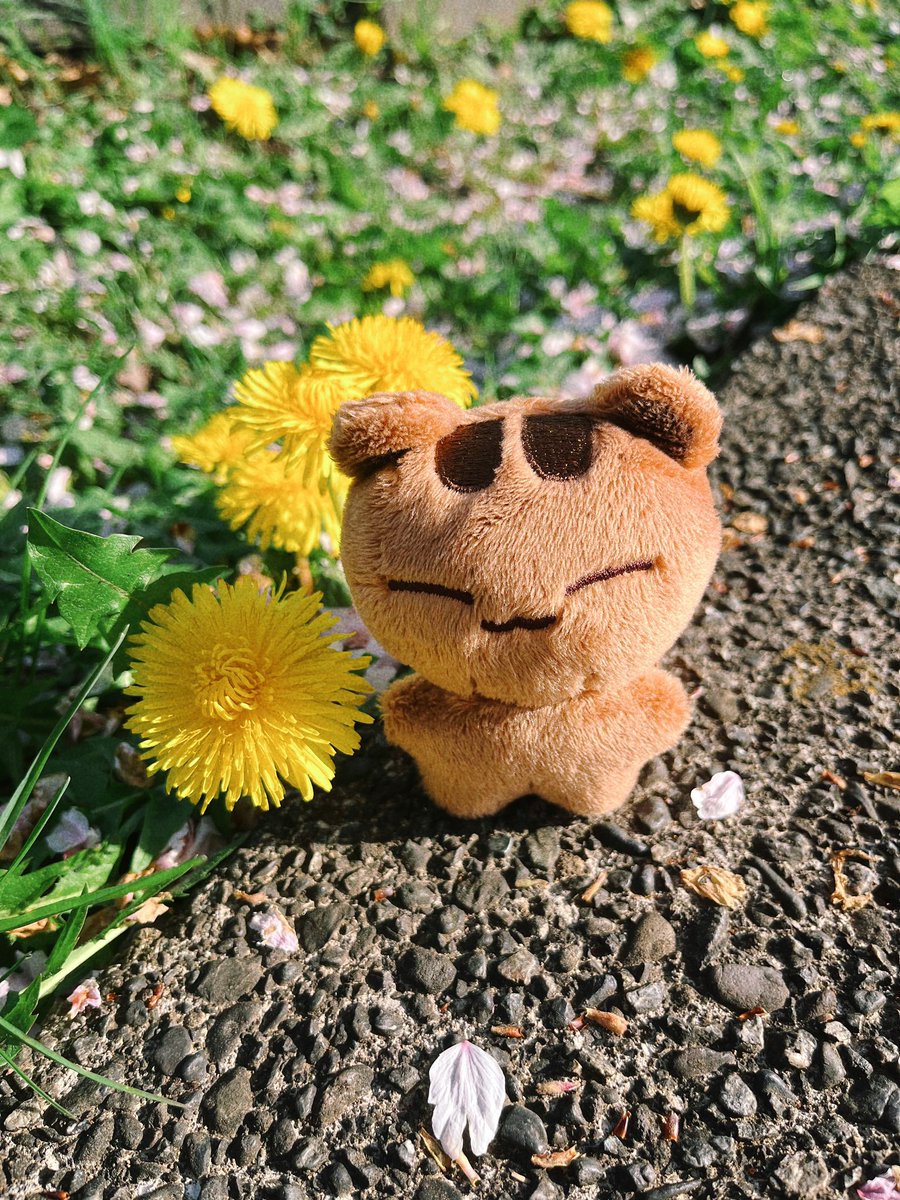 쿄우(@hon_jitsu) - Twilog