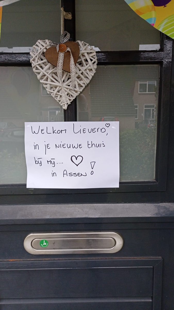 dion van berkel on Twitter: dion van berkel on Twitter: