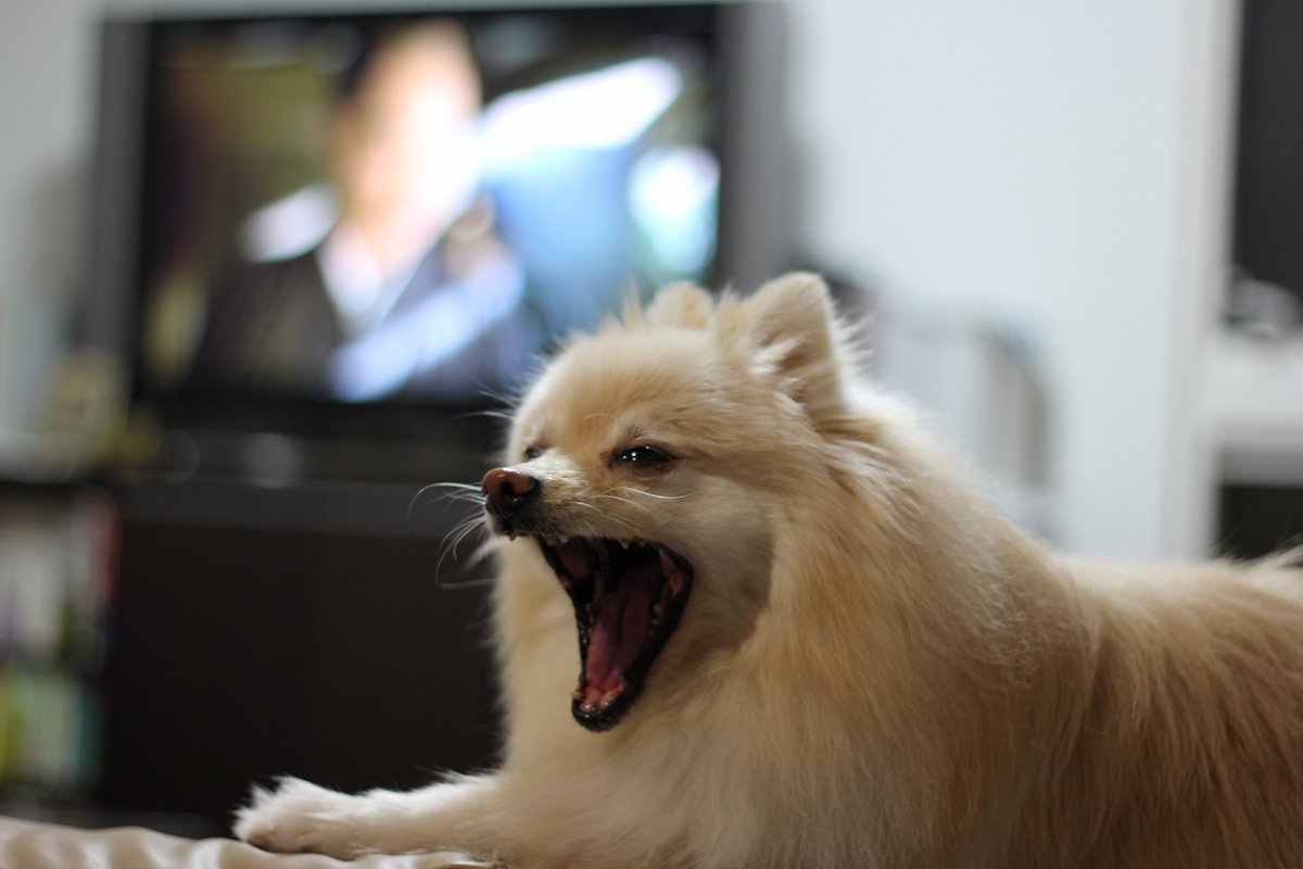 ふんすい(@fun_sui) - Twilog (ツイログ)