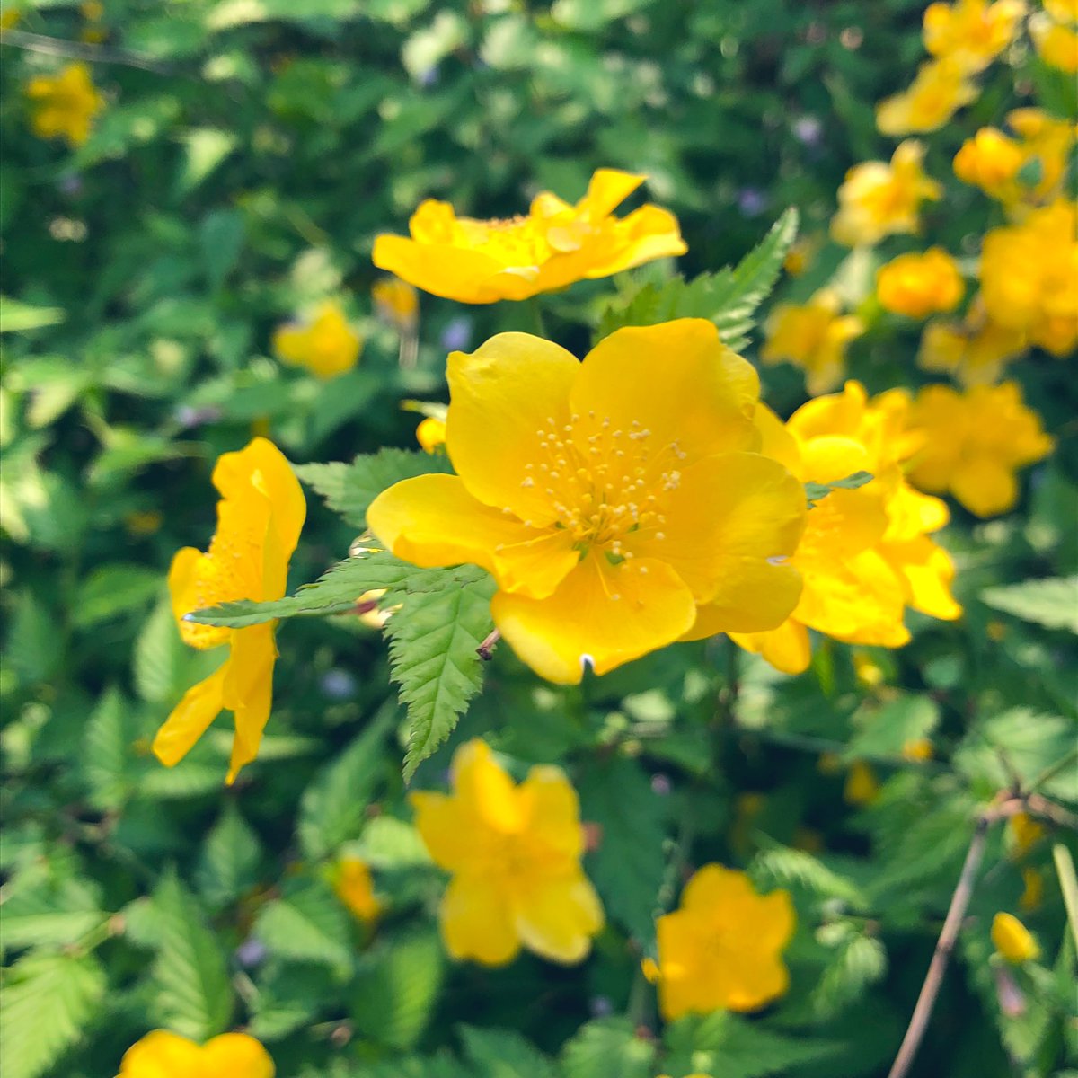 yel(@ffffoo) - Twilog (ツイログ)