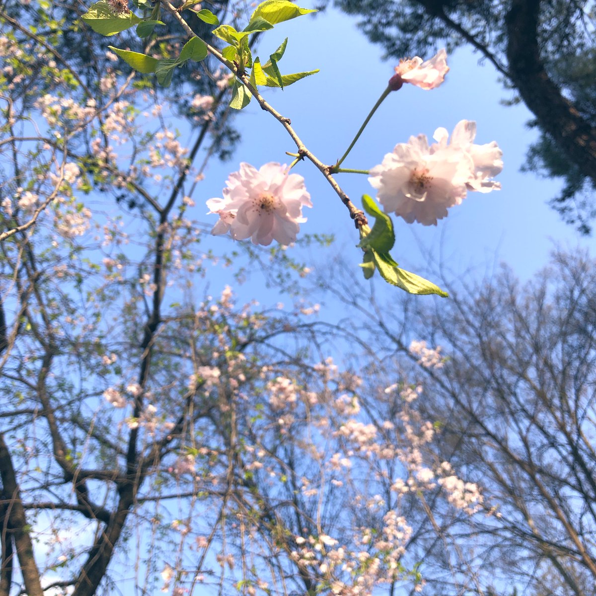 yel(@ffffoo) - Twilog (ツイログ)