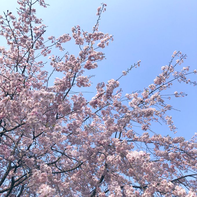 yel(@ffffoo) - Twilog