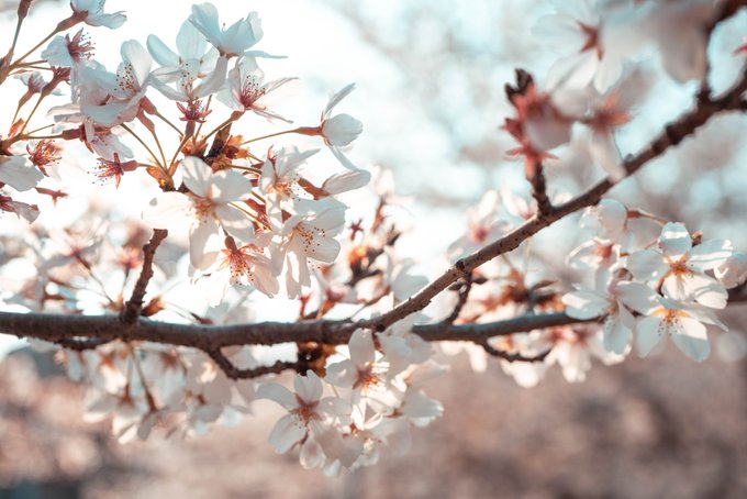 村山竜大(@ovopack) - Twilog