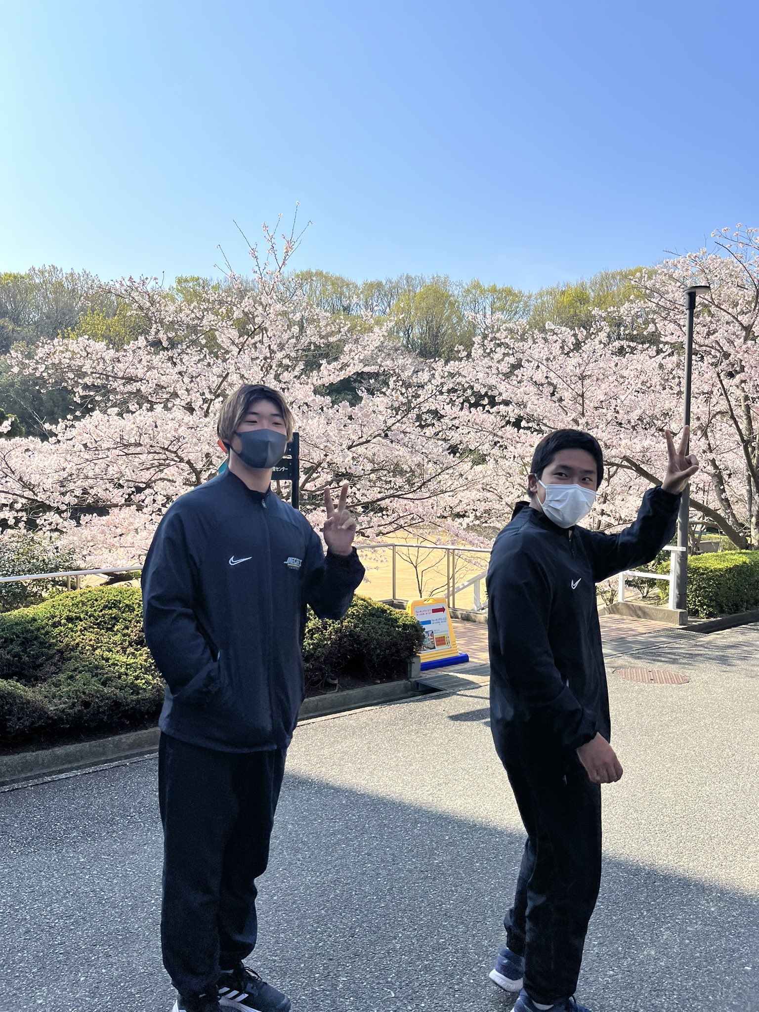 Sakura (@db_duw) / Twitter