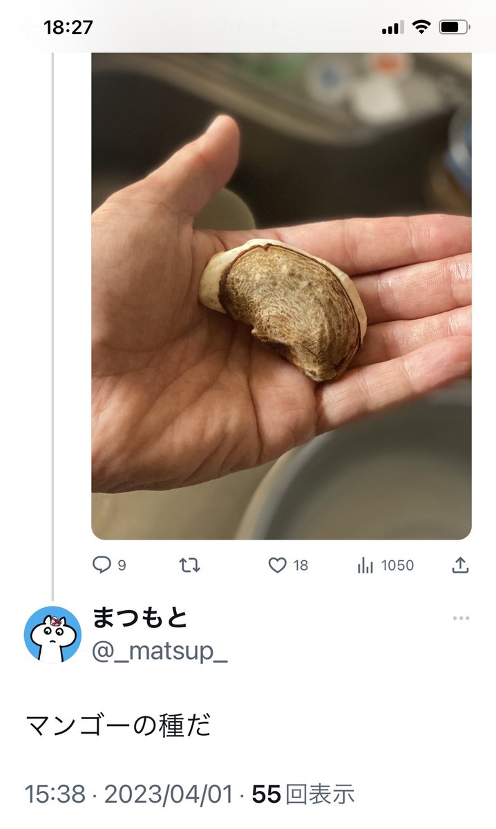 ヨッスィー on Twitter: "さて答えです！ 実はマンゴーの種で、@_matsup_ まつもとさんだけ正解！ お見事、さすがです！ 息子がマンゴーの皮を剥いた後にたまたま膨らんで外殻が ...