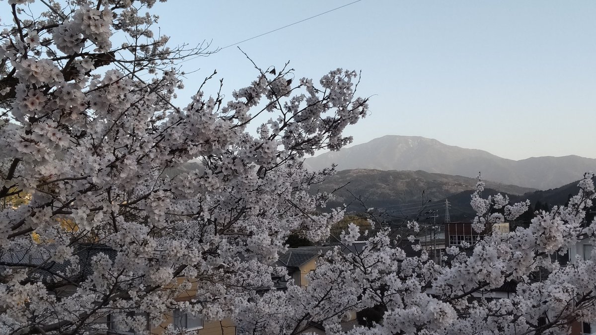 スト高(@SUTO_EXPWY) - Twilog (ツイログ)