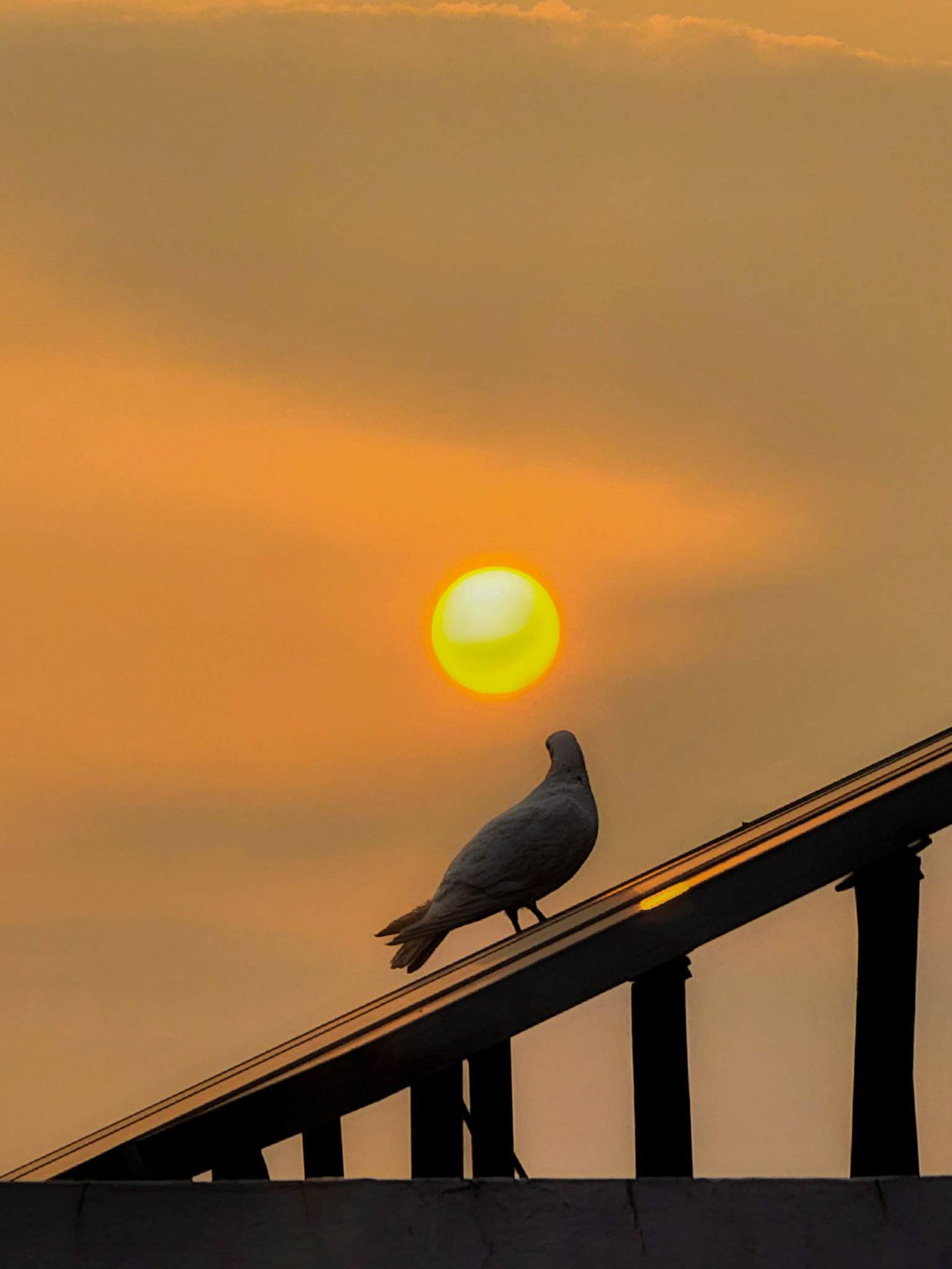 Fahim Al Mahmud Ashik On Twitter Show Us A Picture Of A Sunset Shot On Your Phone T 