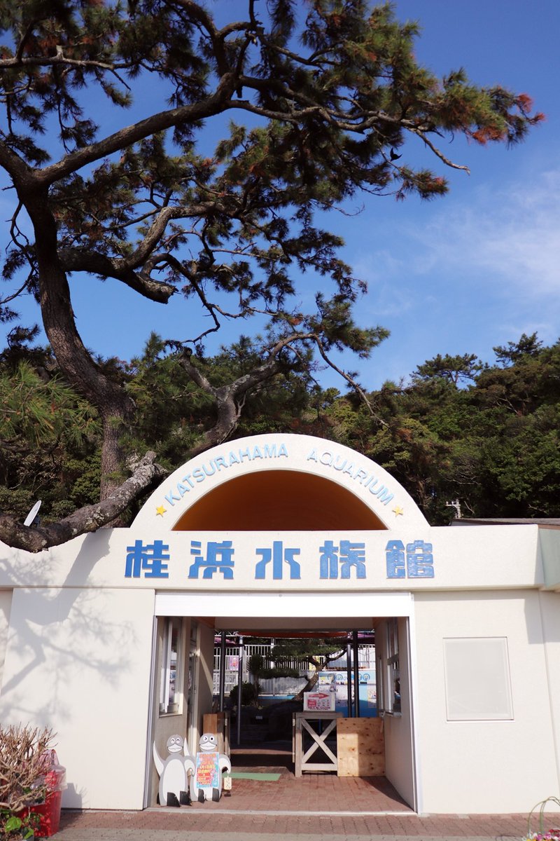 NPOこうち音の文化振興会(@otonobunka) - Twilog (ツイログ)