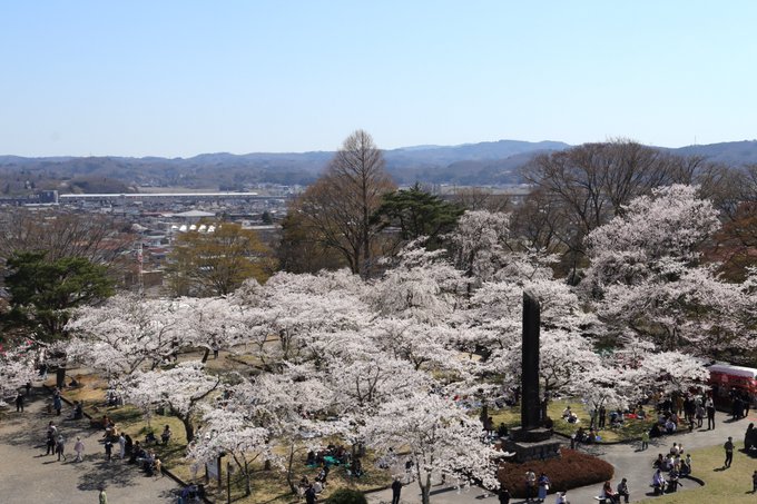 スカイライト🦙🐶(@SkyLIGHT_GAME) - Twilog