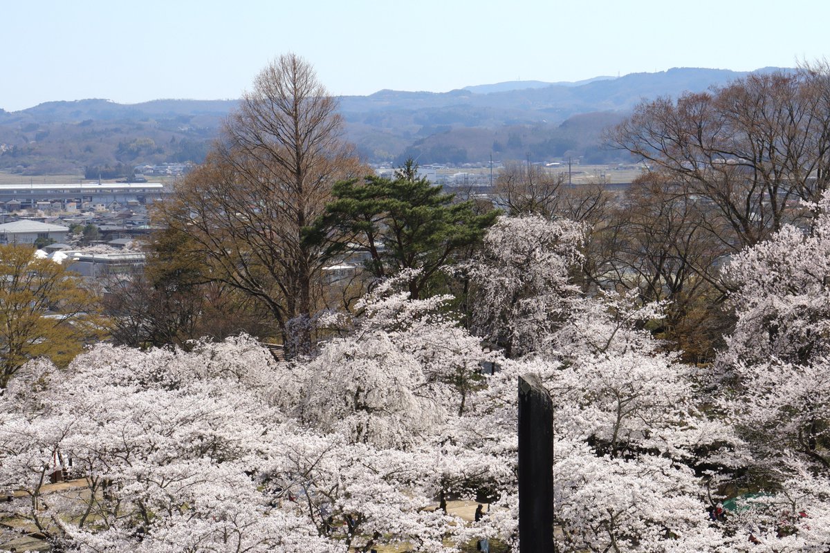 スカイライト🦙🐶(@SkyLIGHT_GAME) - Twilog