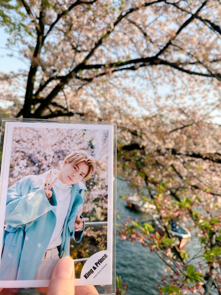 しま(@shimt_) - Twilog (ツイログ)