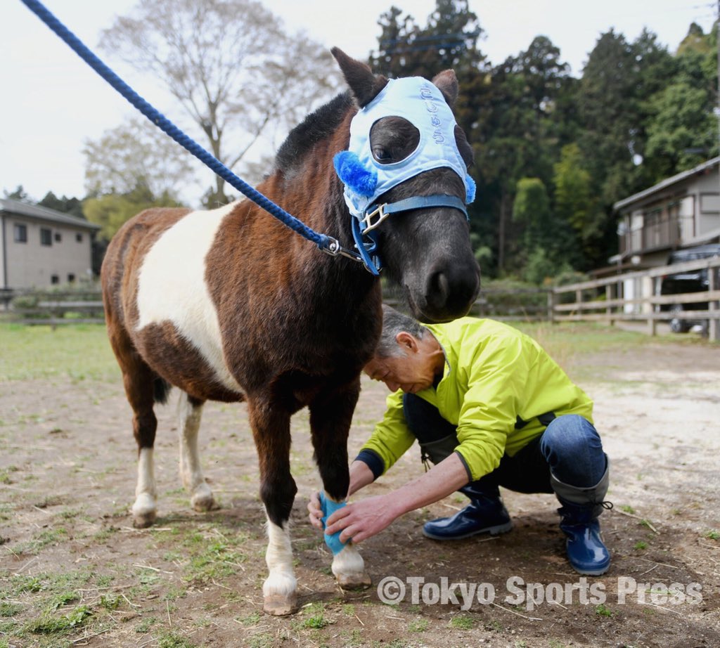 𝕏玖珂七瀬𝕏(@k_nanase) - Twilog (ツイログ)