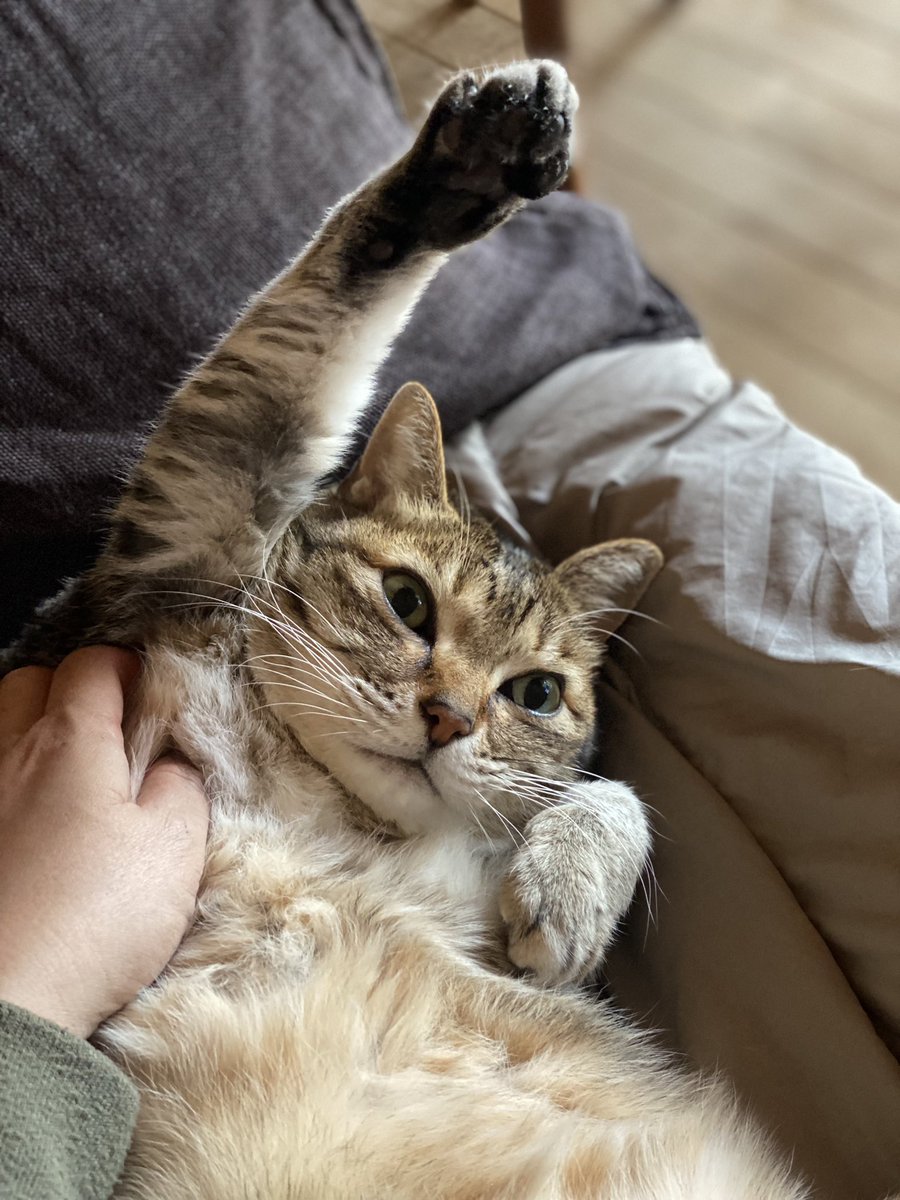 atsu_sasa(@atsu_sasa) - Twilog (ツイログ)