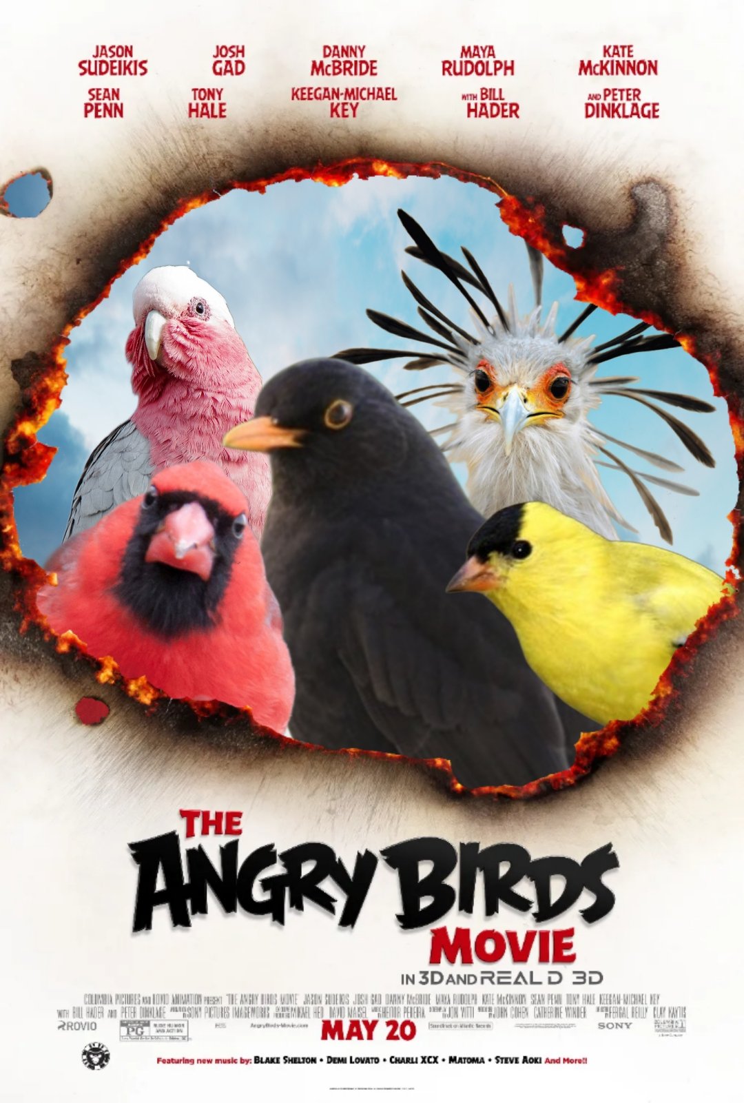 The Birds Movie Remake