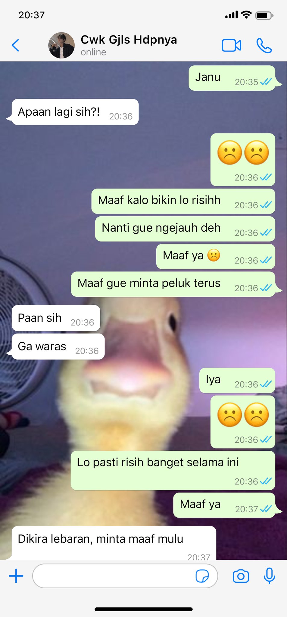 Bubble! update dikit-dikit on Twitter: "224. https://t.co/4euPb1XaVD" / Twitter