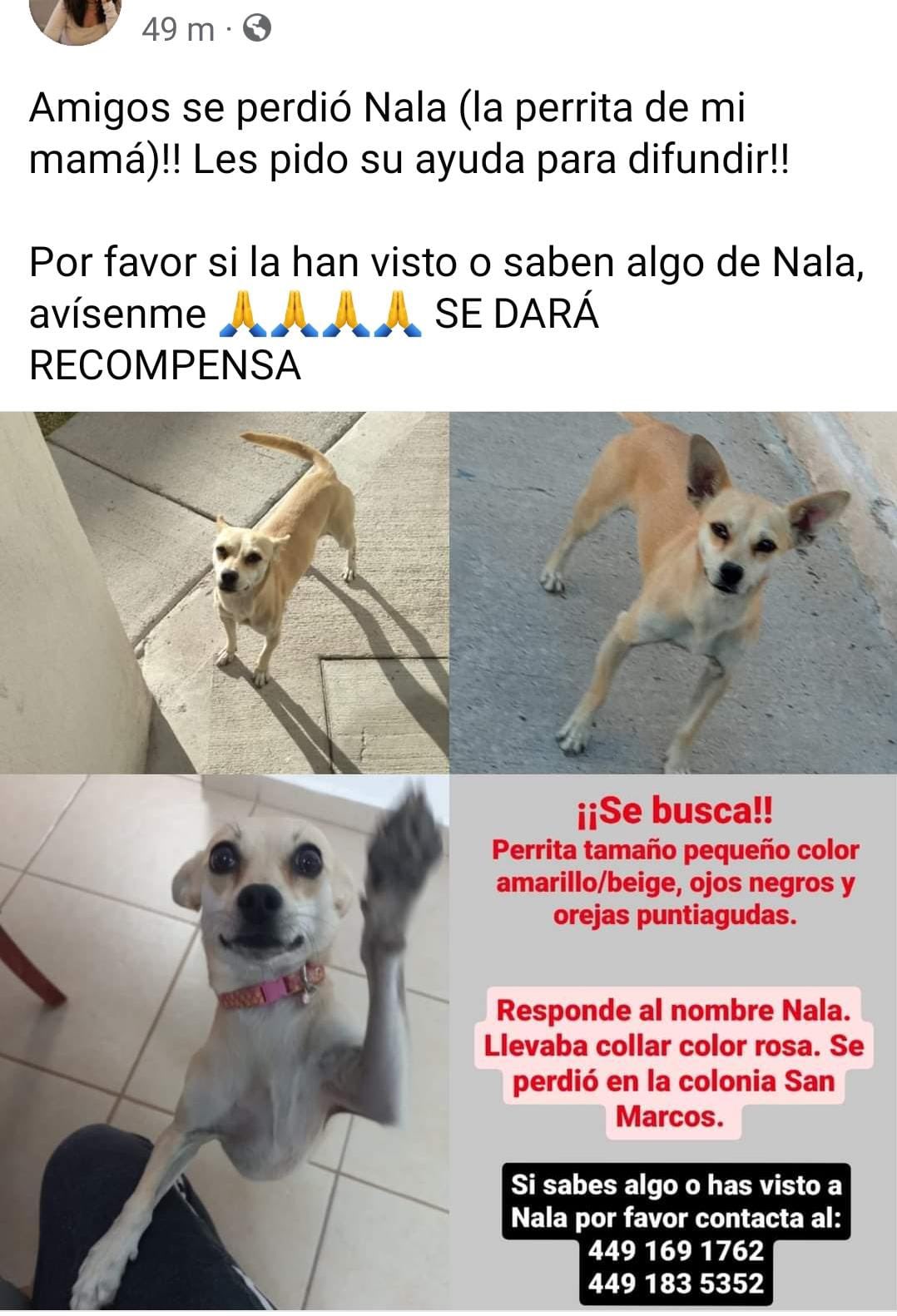Meme De Amizade Perdida Perdi Muitas Amizades Esse Ano | TikTok