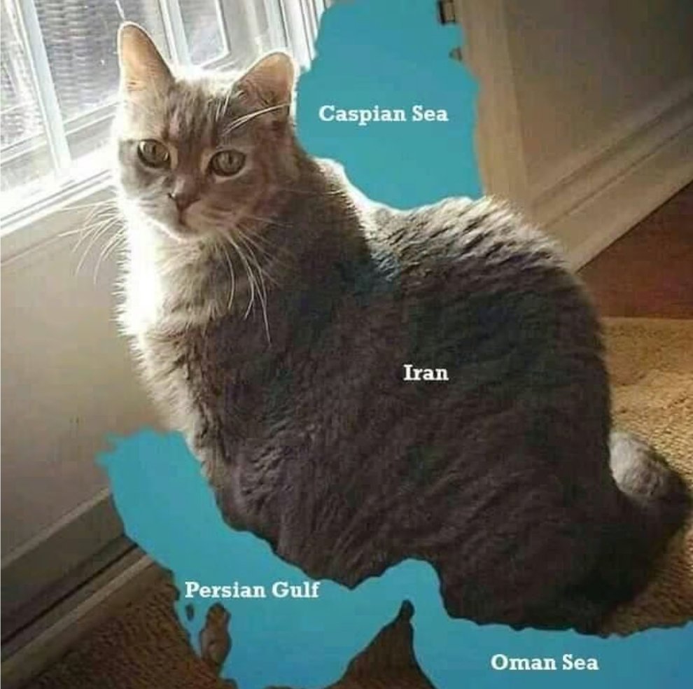 Terrible Maps On Twitter terrible-maps-on-twitter