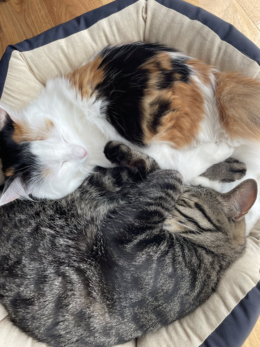 Masataka HIGUCHI(@HIGUCHI_MA) - Twilog