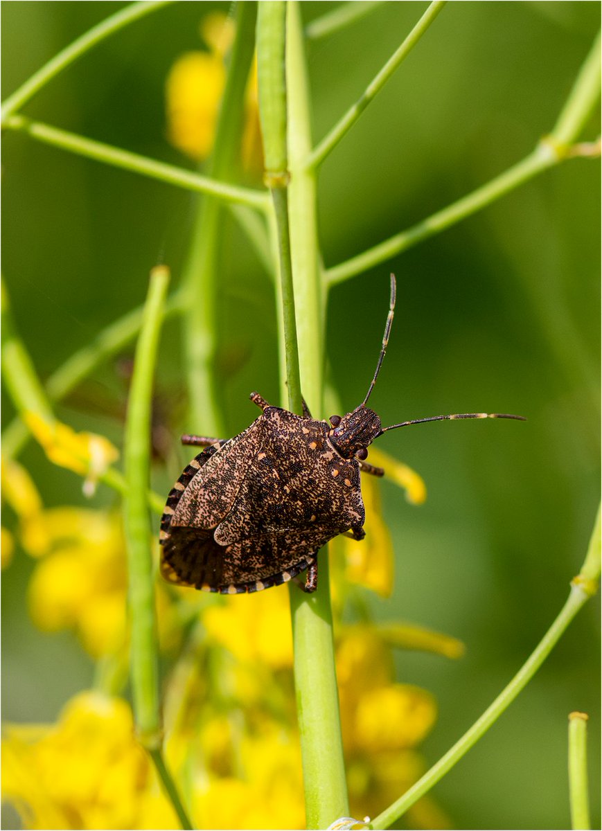 coco(@coco_n) - Twilog