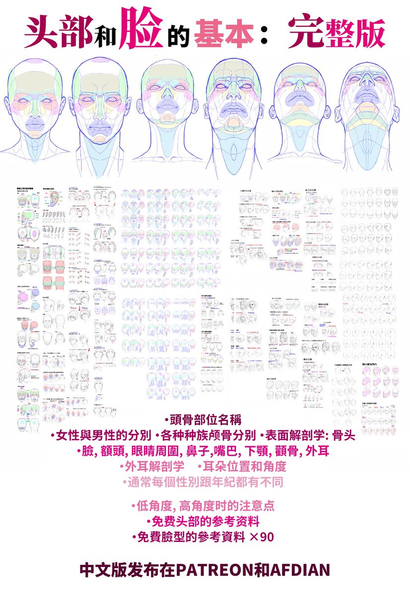 漫画素材工房@中文版 on Twitter: "個人筆記：繪畫臉部的注意事項2 頭部和臉的基本：完整版 AFDIAN https://afdian.net/p ...