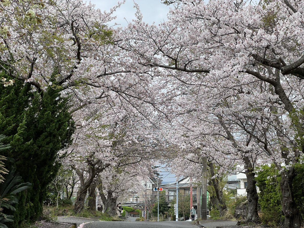 みみずん𝕏(@mimizun) - Twilog