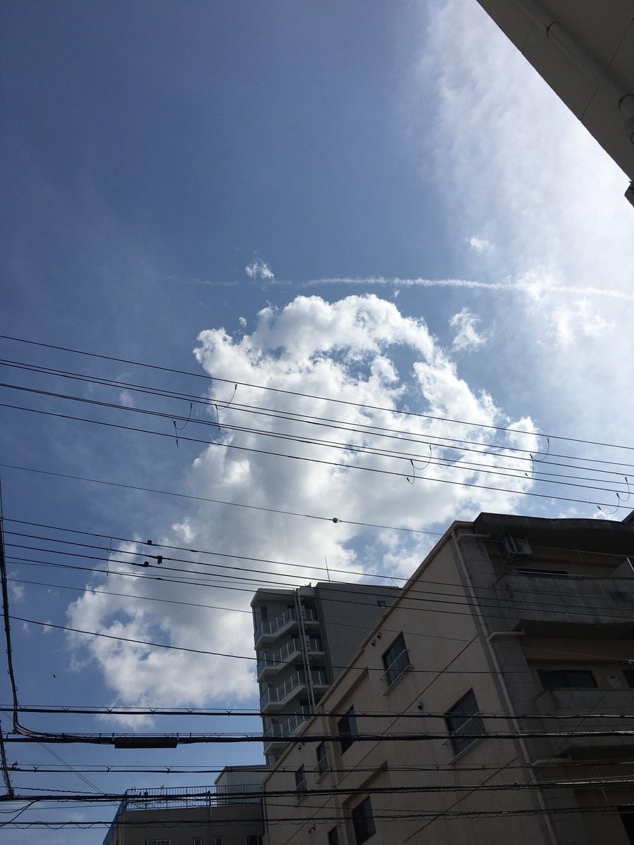 Naoshi Sugimoto【Me,We,Works】(@brain_drain_aw) - Twilog