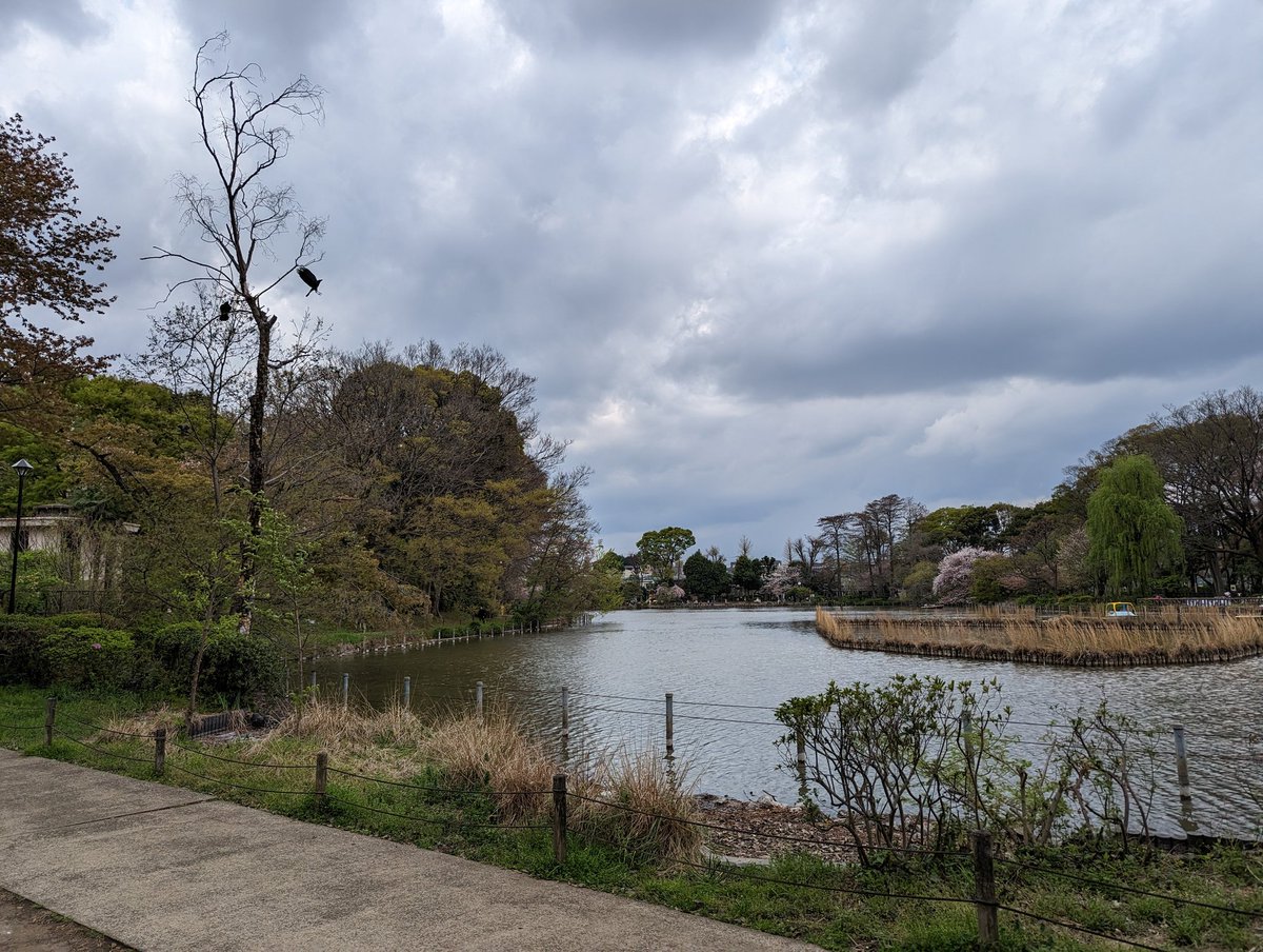 Y.T Saitama AD966/JO1LNK(@toba966) - Twilog (ツイログ)