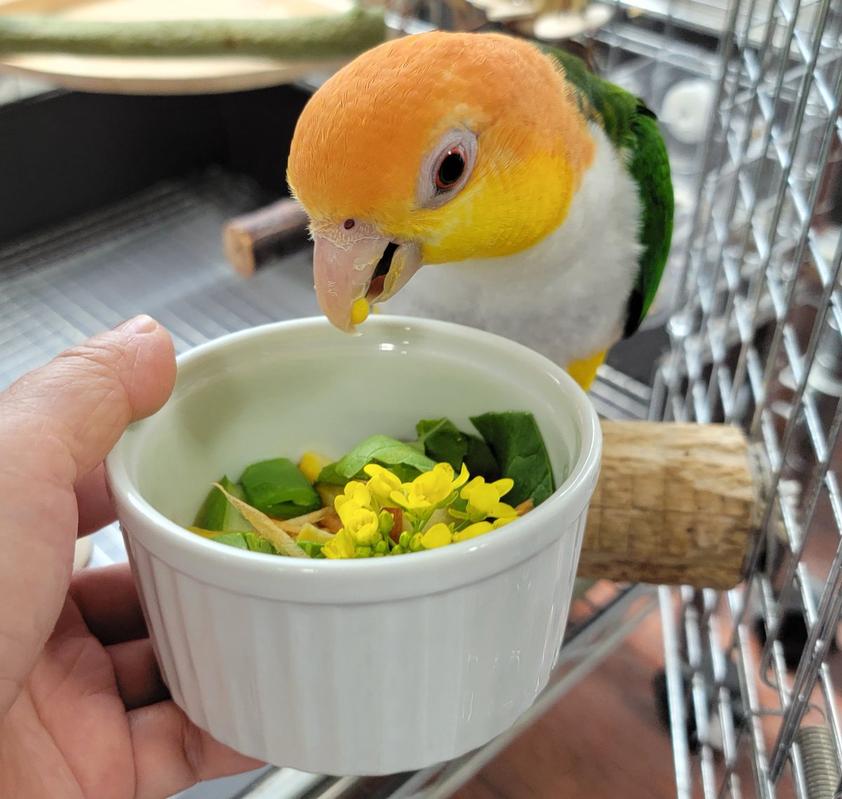 Mika Ishiwata(@mikarin_10) - Twilog