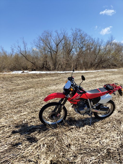 うり坊(@uribou) - Twilog