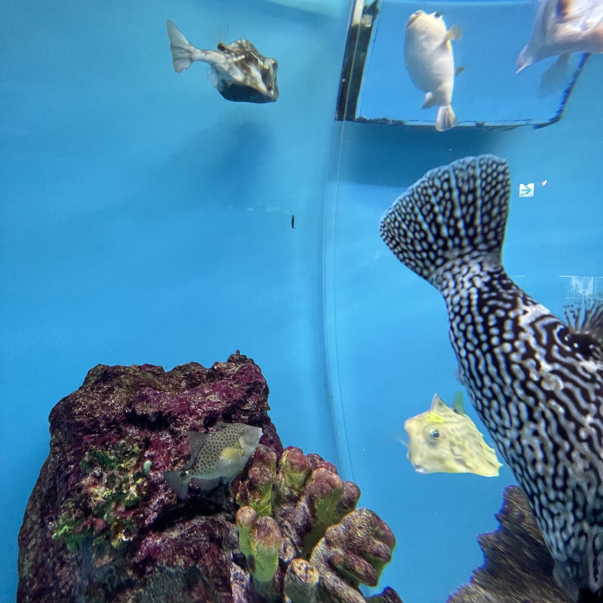 𝕏 tm8 𝕏(@tm8_tweet) - Twilog