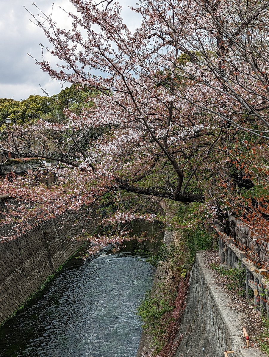 ごじむ(@goji_mutyu) - Twilog