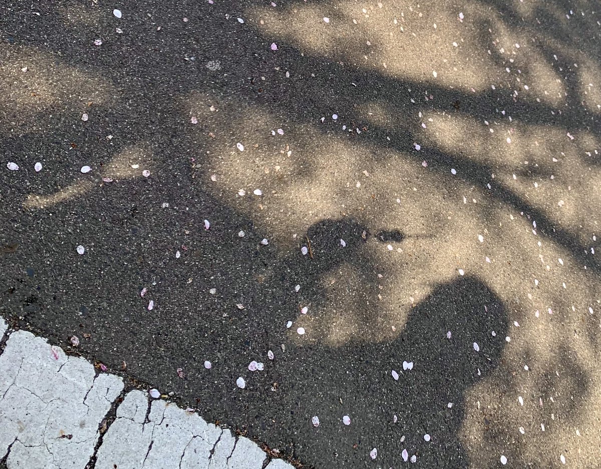 ミノソン🌝(@minoson) - Twilog