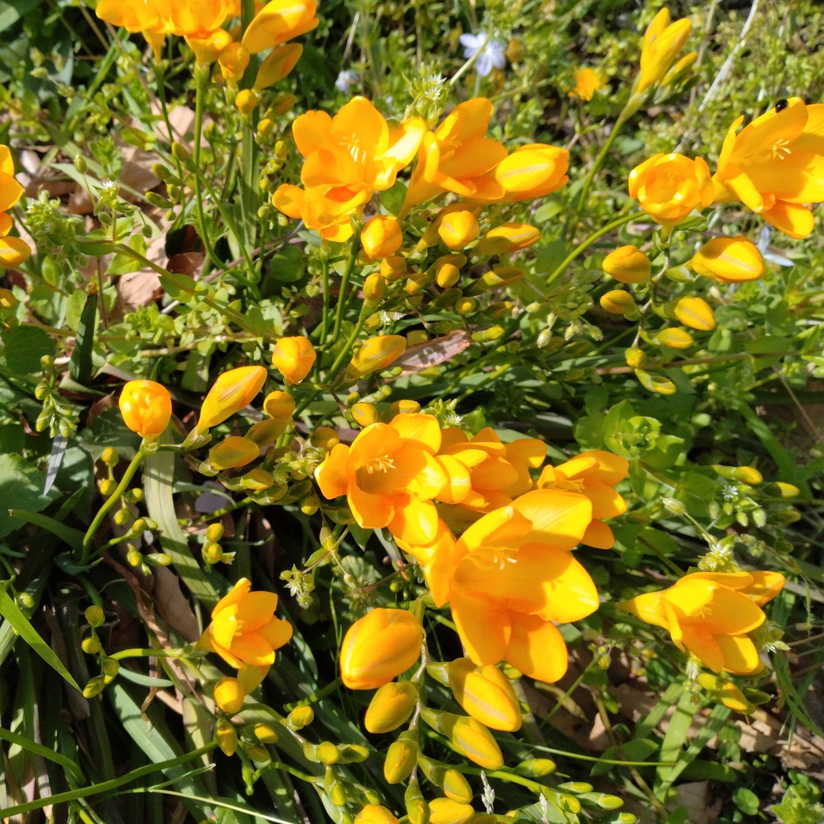 福田知弘 Tomohiro FUKUDA(@fukudatweet) - Twilog (ツイログ)