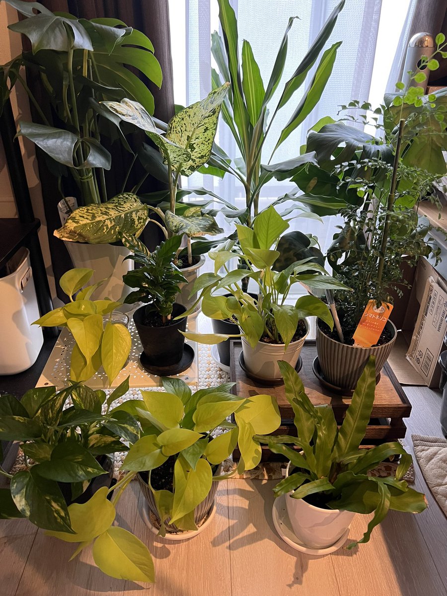 てらこ(@terako_tta) - Twilog