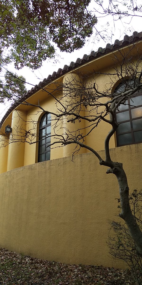 Yukimi Ogawa on Twitter: