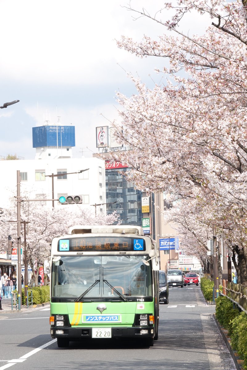 みっきー on Twitter: "2023/3/29 王40甲 N-T193 (一部画像加工済み)"