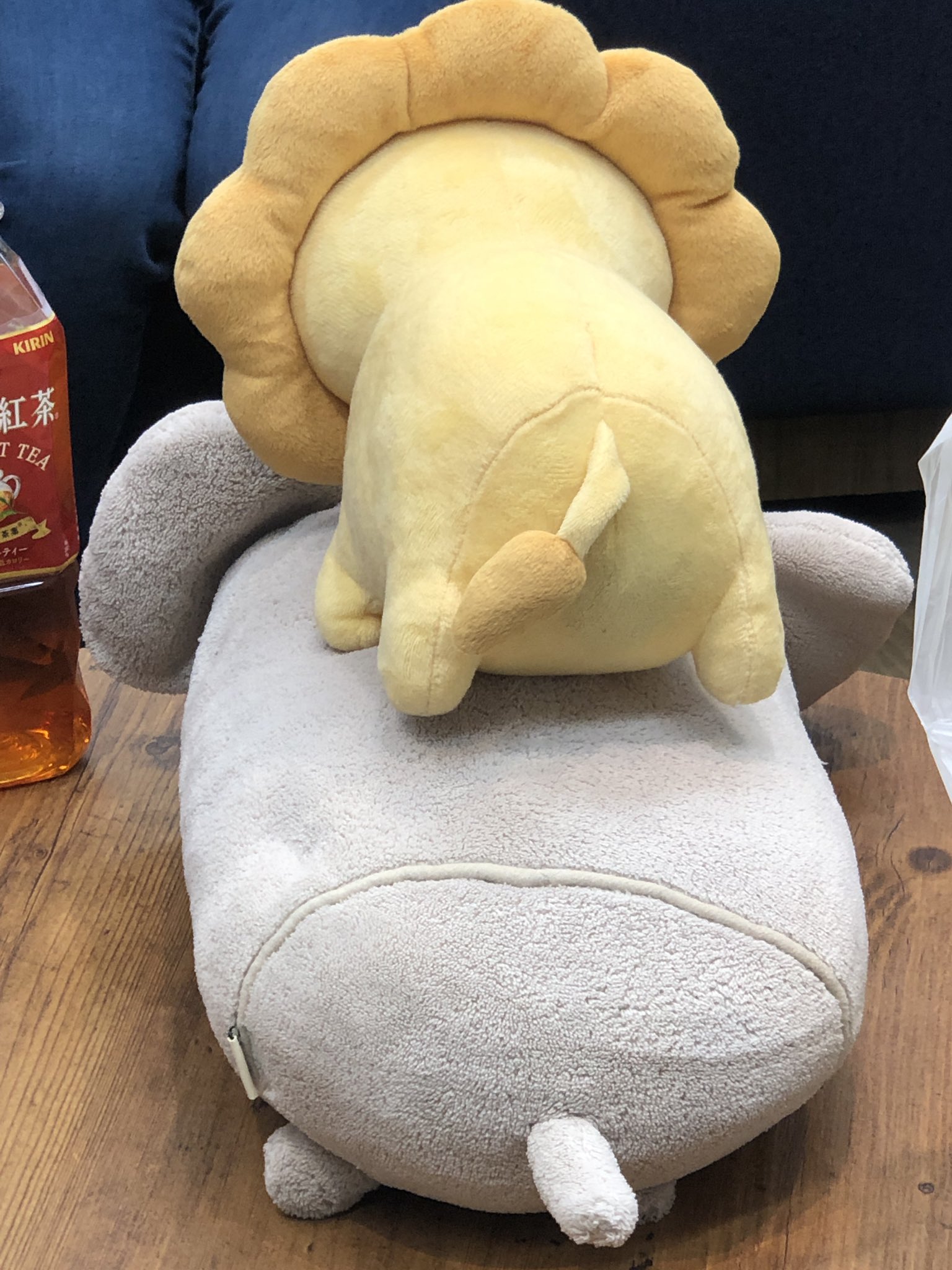 やこ (@yako_libe) / Twitter