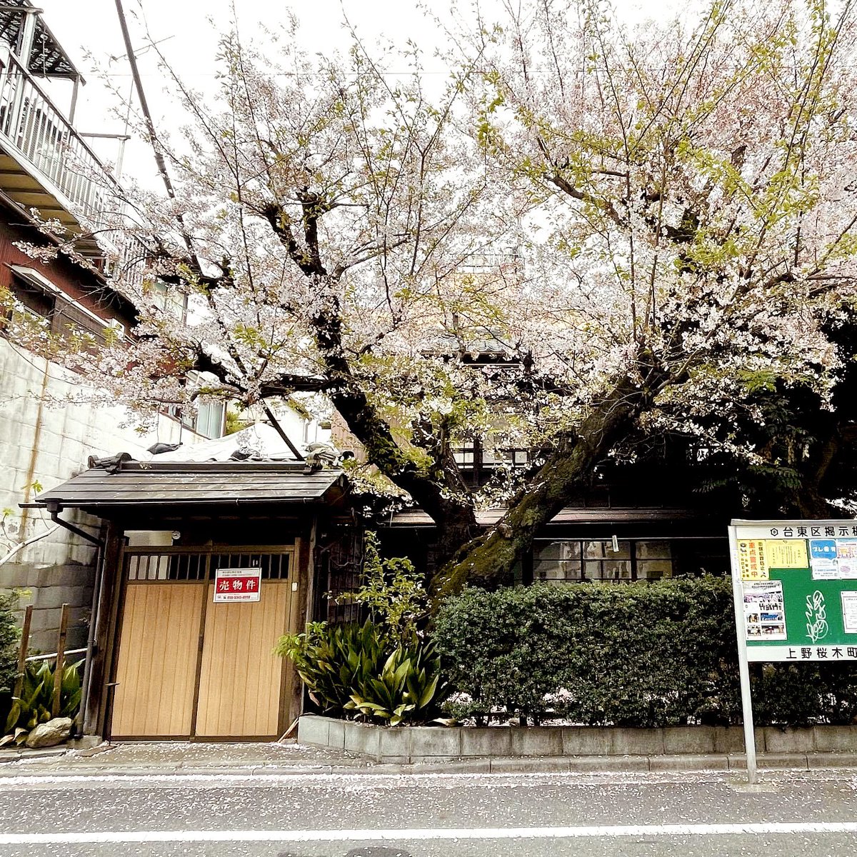 じゅんにゃん(@junya_takayama) - Twilog (ツイログ)