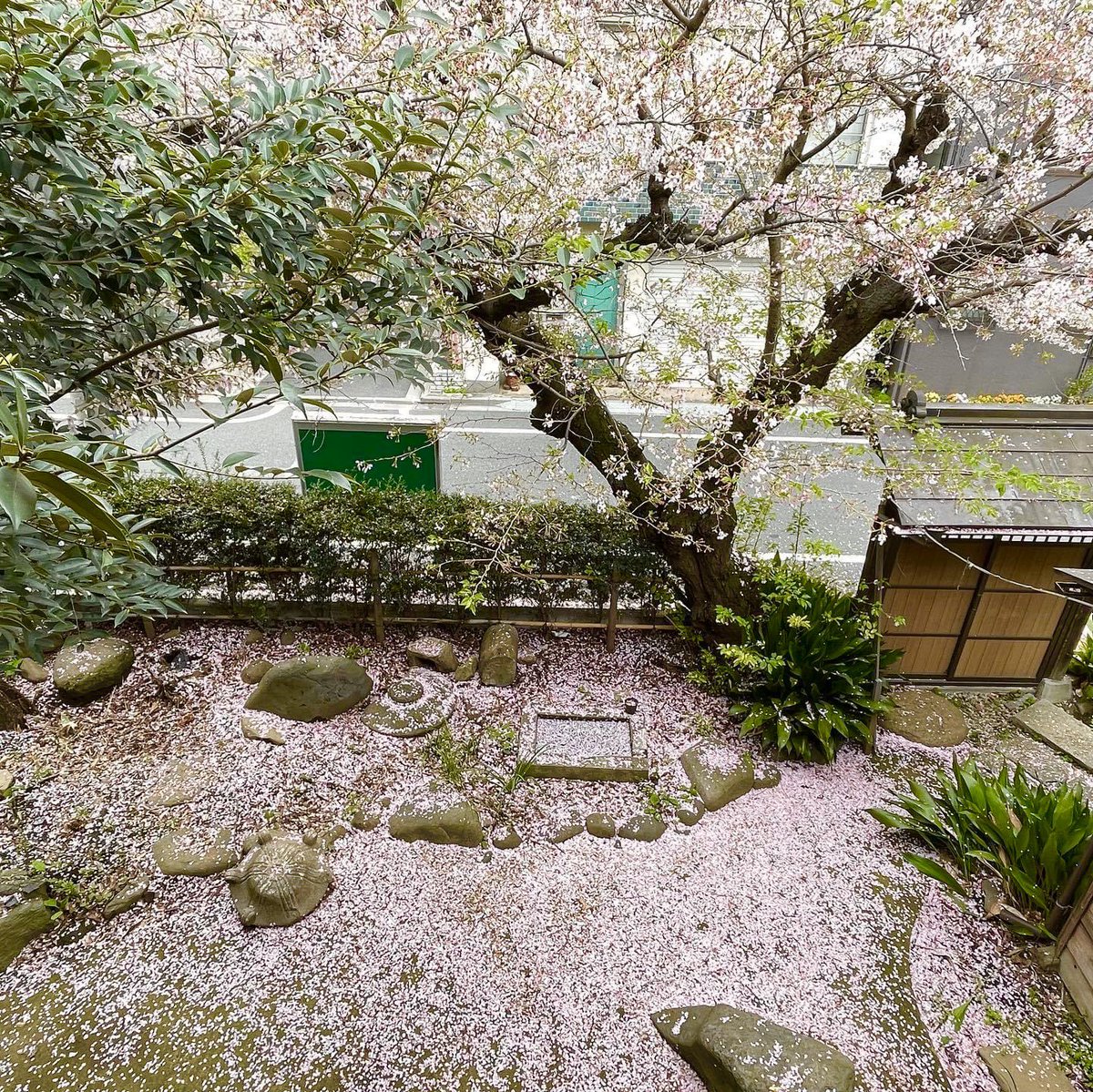 じゅんにゃん(@junya_takayama) - Twilog (ツイログ)