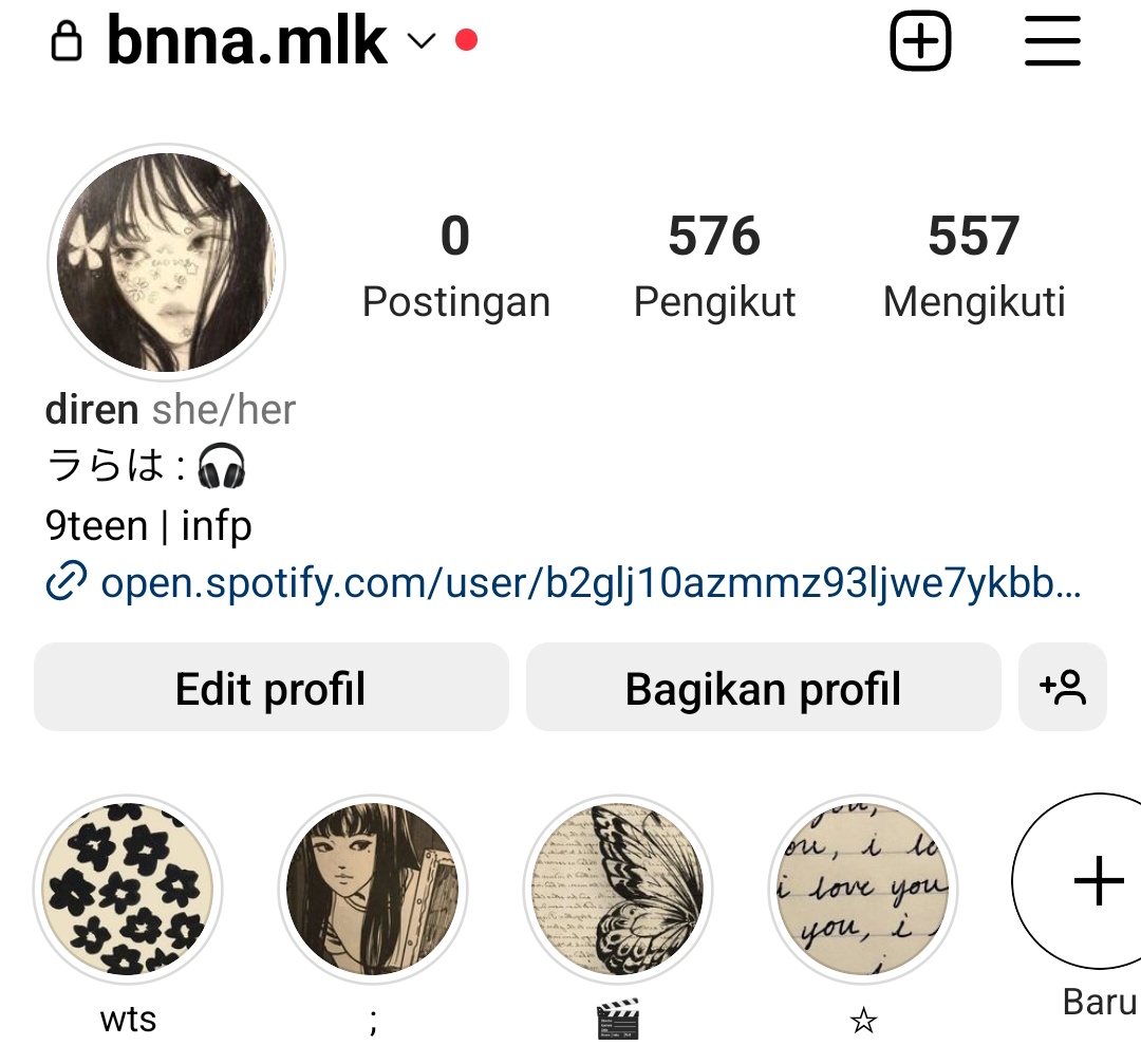 Bio Examples For Instagram